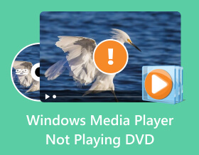[Solved] How to Fix Windows Media Player Will Not Play DVD