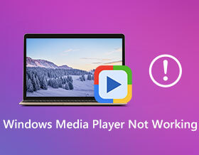 [Solucionado] Windows Media Player no funciona en Windows 10/8/7