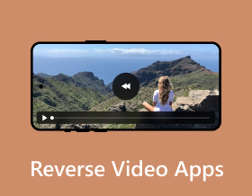 Best 4 Reverse Video Apps to Use on iPhone and Android