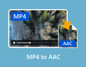 Step-by-step Guide to Convert between MP4 and AAC Efficiently