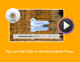 How to Play/Rip DVD on Windows Media Player on Windows 11/10