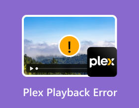 A Go-to Solution on How to Solve Plex Playback Errors
