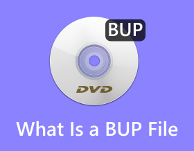 What is a BUP File: A Dive on DVDs’ File and Its Purpose