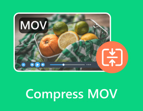 Cómo comprimir MOV en PC/Mac sin pérdida de calidad