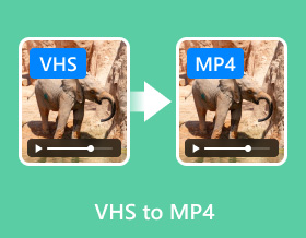 VHS 到 MP4：全面的数字转换指南