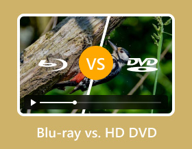 Blu-ray and HD DVD: Differences You Should Know About