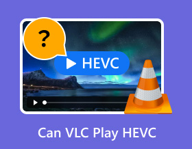 [Answered] Can VLC Play HEVC on Windows and Mac