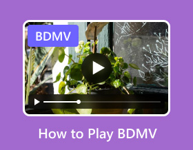 3 Easy Ways to Play BDMV Files on Windows and Mac
