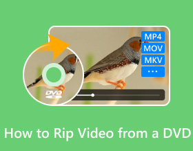 3 Simple and Effective Ways to Rip Video from DVD on a Computer