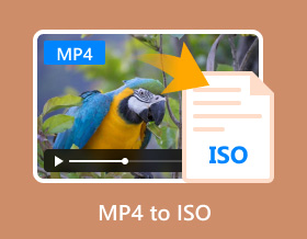 MP4 to ISO: 3 Ultimate Video Converting Solutions to Try in 2024