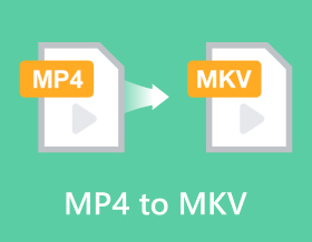Cómo convertir MP4 a MKV en 2025