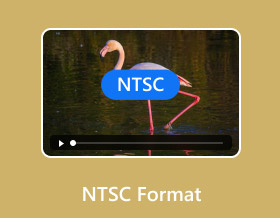 NTSC Format: What Is the Television Standard