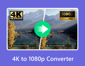 5 Best 4K to 1080p Converters [Windows, Mac and Online]
