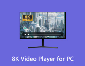 2025 年值得尝试的最佳 PC 8K 视频播放器