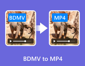 2025 年将 BDMV 文件转换为 MP4 格式的 3 种最佳方法