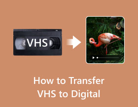 Transfer VHS to Digital: How to Digitize Old Video Tapes