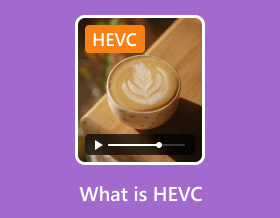 What is HEVC and How to Play and Convert to Other Formats