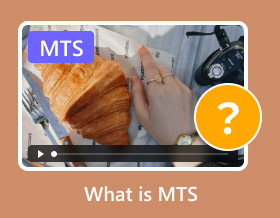 What is MTS, and How to Play and Convert It