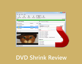 DVD Shrink Overall Review: Is It Worth a Try [2025]