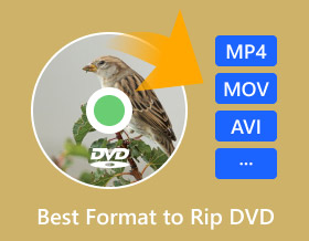 Best Formats to Rip DVD for Quality, Size, and Compatibility