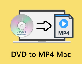 4 Best Methods to Convert DVDs to MP4 on Mac in 2025