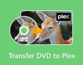 How to Rip DVD for Plex: A Complete Beginners Guide
