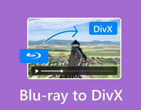 Cómo convertir Blu-ray a DivX en Windows y Mac
