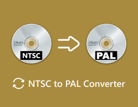 2 Easy Ways to Convert NTSC to PAL for Playback