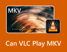 Can VLC Play MKV Files? Why Playback Fails and How to Fix It