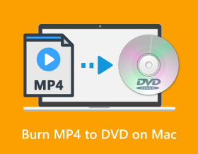 Best 3 Ways to Burn MP4 to DVD on Mac With Custom Menu