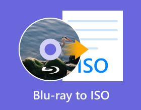 将蓝光转换为 ISO 的最佳方法 [2025 更新]