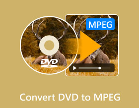 DVDをMPEG-2に無料で変換する方法【2025年更新】