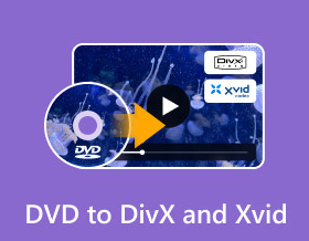 Convertire DVD in formato DivX o Xvid: 3 metodi semplici