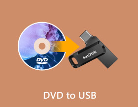 3 manieren om dvd's op te slaan/over te zetten naar USB op Windows en Mac