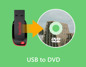 2 Best Ways to Burn USB Files to DVD on Windows & Mac