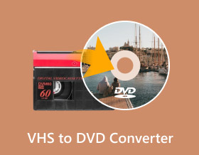 Top 3 des convertisseurs VHS vers DVD en 2025 pour sauvegarder vos ...