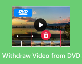如何从 DVD 中提取视频