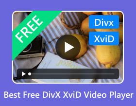 Les 5 meilleurs lecteurs vidéo DivX XviD pour ordinateur et mobile
