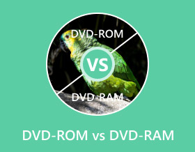 DVD-ROM vs DVD-RAM: A Complete Comparison of the 2 DVD Types